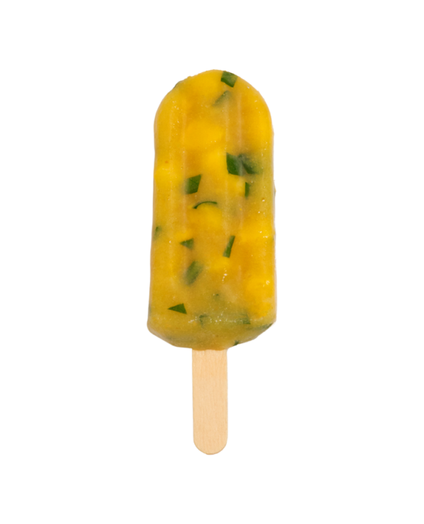 Vitafruit Ginger Zing - Frutisima
